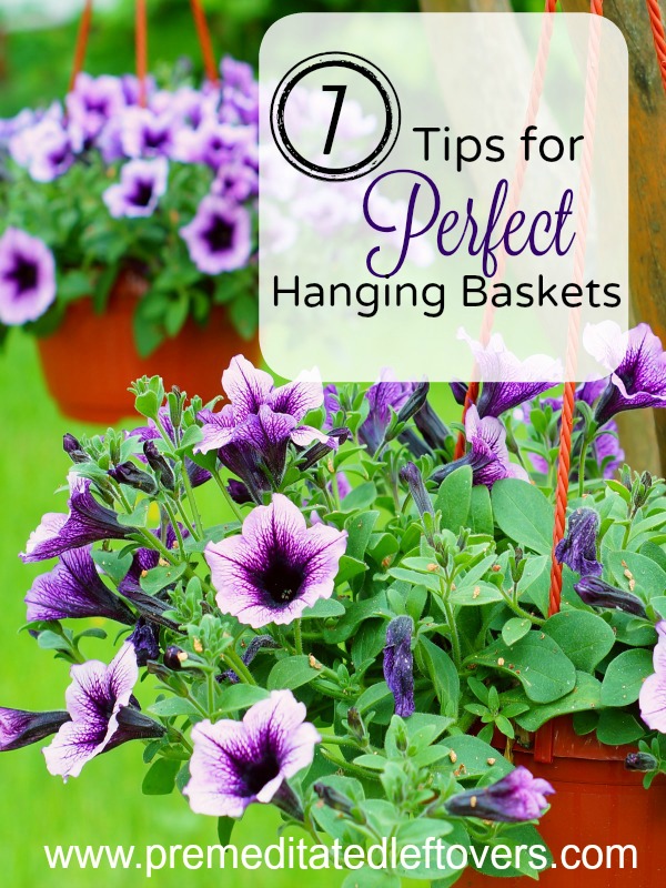 How-to-Create-Perfect-Hanging-Baskets