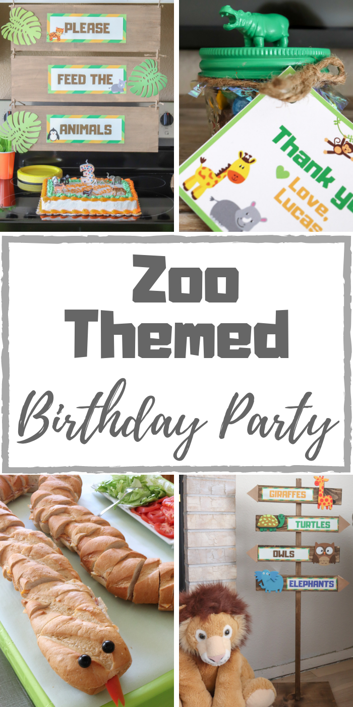 zoo-jungle-safai-theme-birthday-party